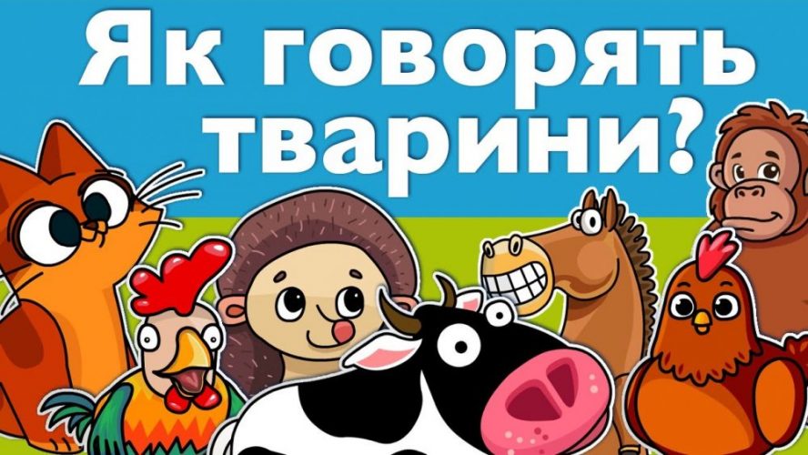 Як говорять тварини: розкриття таємниць комунікації в дикій природі - Izum